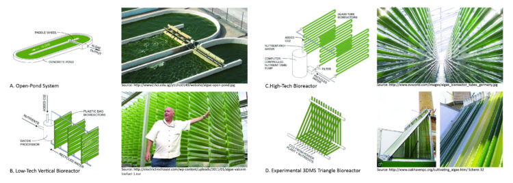 Growing Sustainability – Integrating Algae Cultivation into the Built ...
