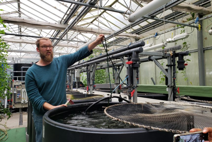 IGB Tour in Berlin | Circular City + Living Systems Lab