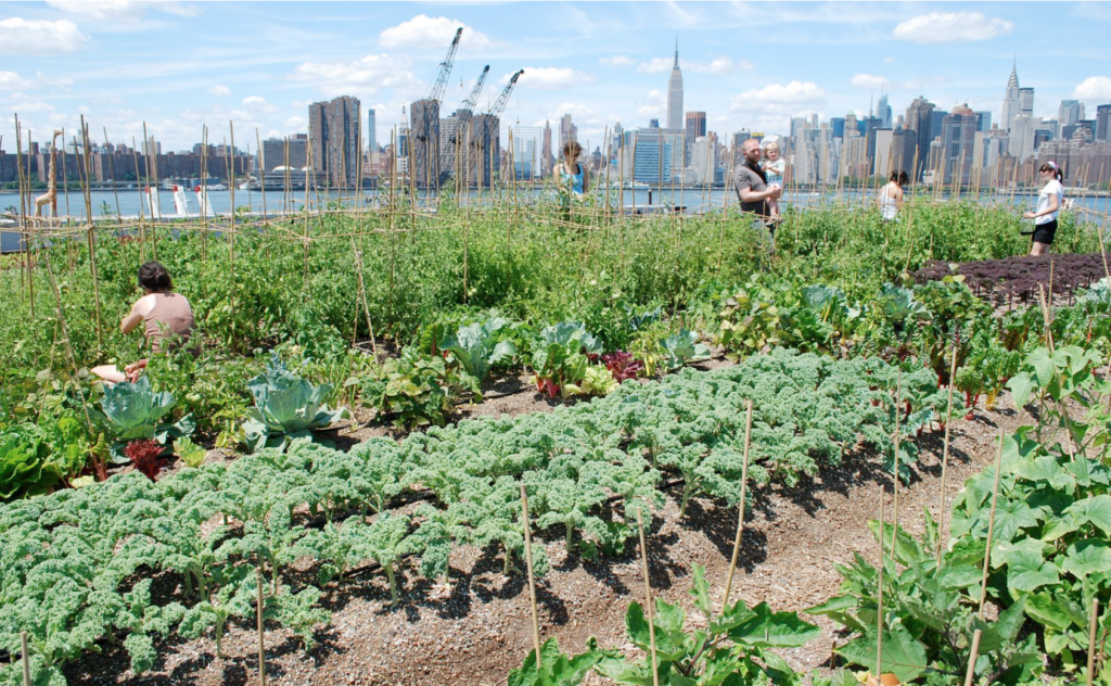 Urban Water: Re‐Introduction of Sustainable Water Cycles through Urban ...