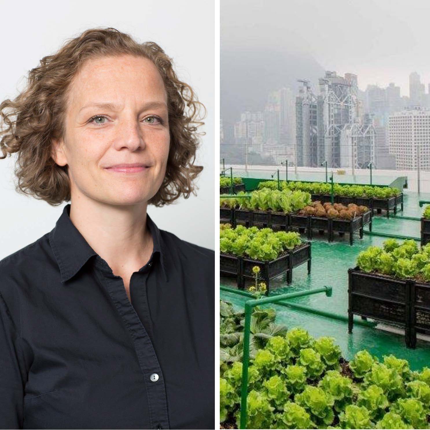 Prof. Proksch Launches CCLS Lab | Circular City + Living Systems Lab